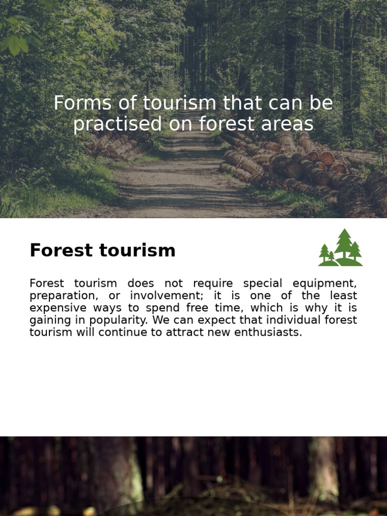 Exploring Forest Tourism Activities | PDF | Mushroom | Birdwatching