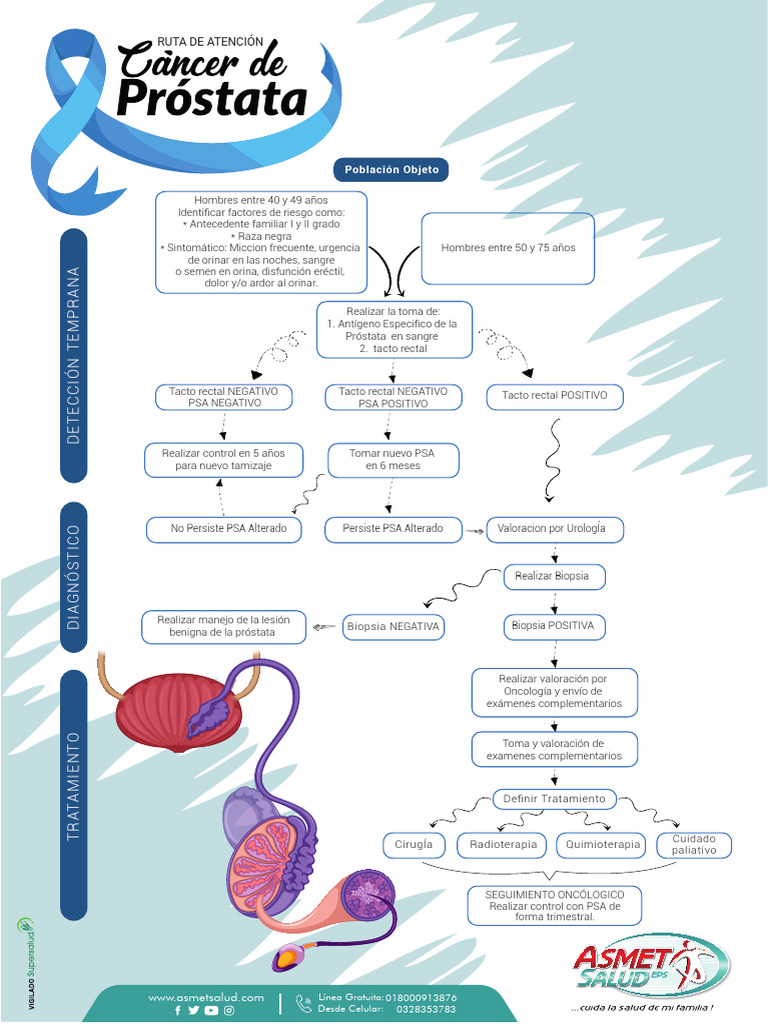 CA Prostata | PDF | Cancer de prostata | Antígeno específico de la próstata