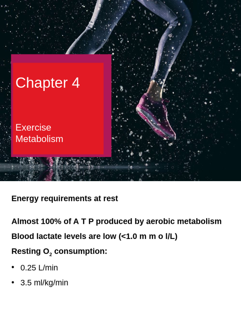 Chapter4 - Exercise Metabolism | PDF | Glycogen | Lactic Acid