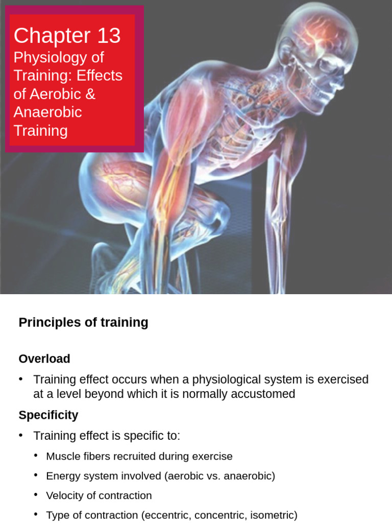 Chapter13_Physiology of Training - Effects of Aerobic and Anaerobic Training | PDF | Signal ...