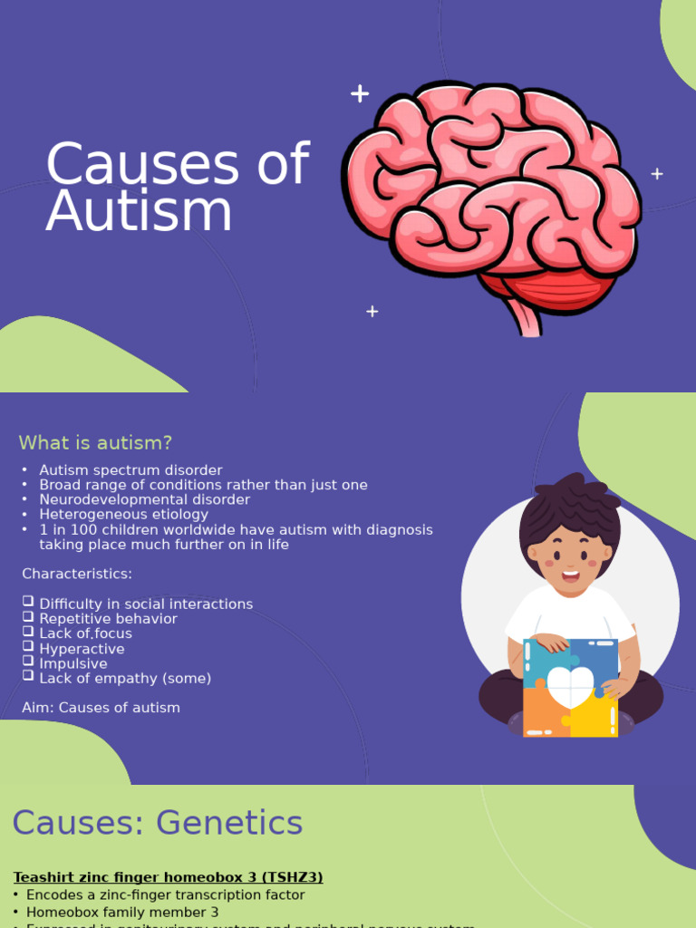 Understanding Autism Causes and Factors | PDF | Autism Spectrum | Human ...
