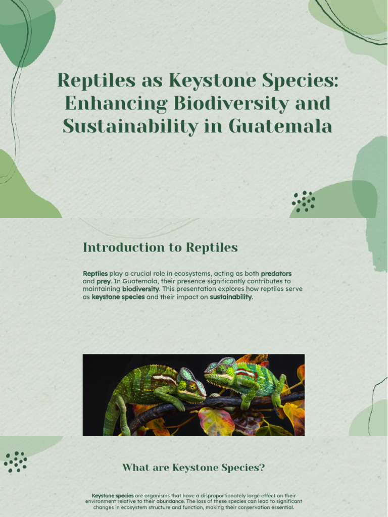 slidesgo-reptiles-as-keystone-species-enhancing-biodiversity-and ...