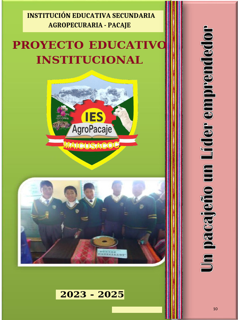 Pei - Iesa Pacaje 2023 | PDF | Enseñando | Maestros