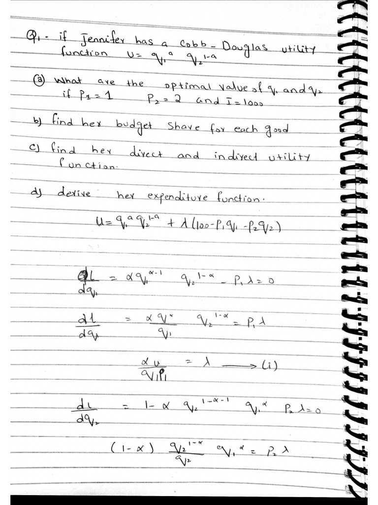 Mathmatical Economics Solved Question | PDF