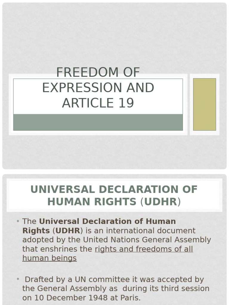 Week 2 & 3 Freedom of Expression and Article 19 | PDF | Human Rights | Justice