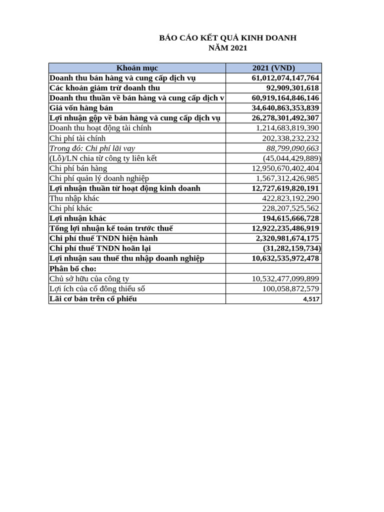 BCTC VNM 2021 - Excel | PDF