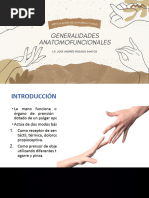 Zonas y Túneles de la Muñeca y Mano | PDF | Mano | Sistema ...