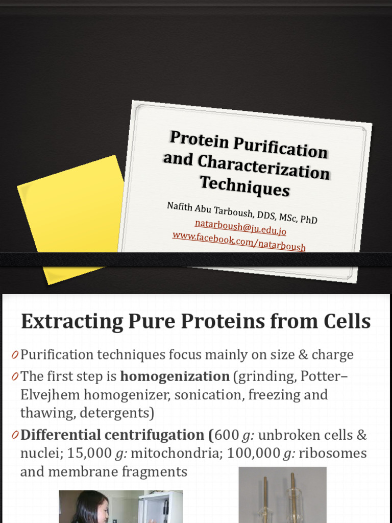 Protein Purification Techniques | PDF | Proteolysis | Chromatography