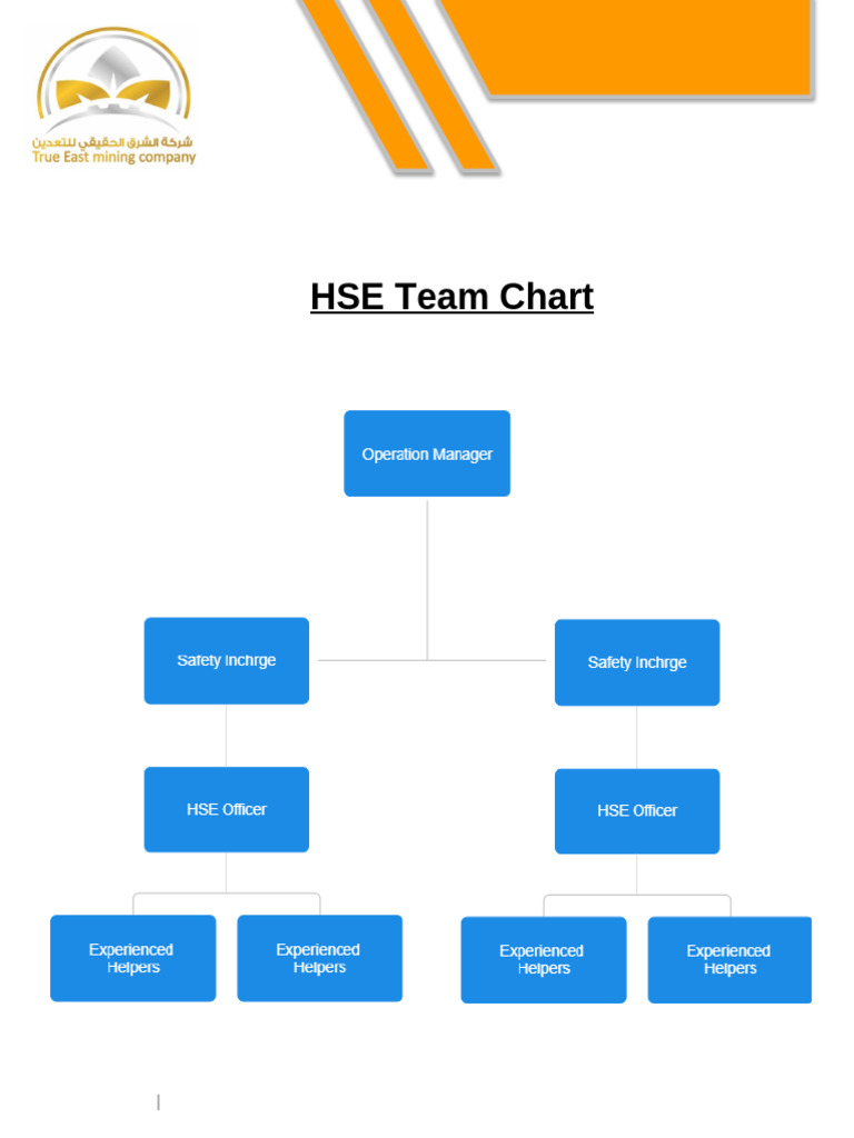 1.1 HSE Team Chart | PDF