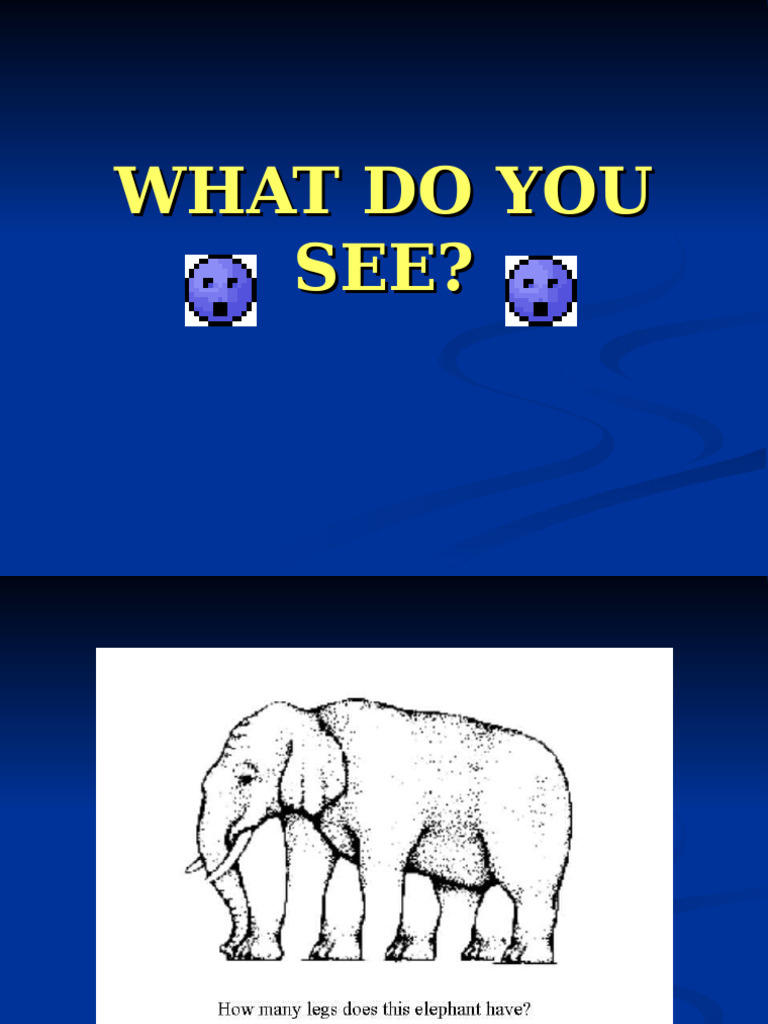 What Do You See | PDF