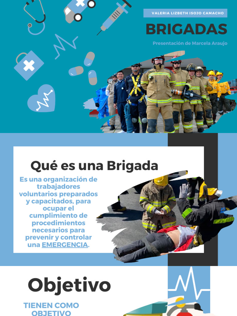 Brigadas | PDF | Defensa Civil | Gestión de emergencias