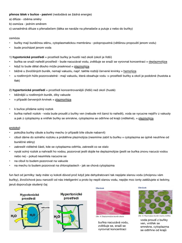 Biola Zapis Tisk | PDF