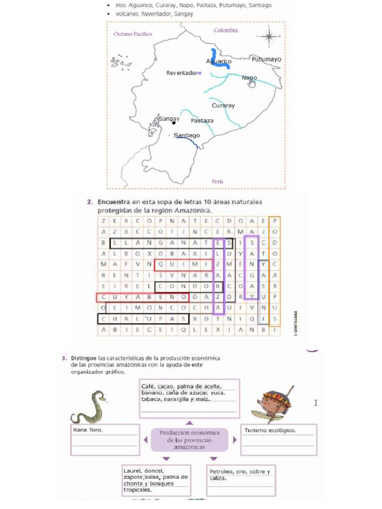 Debate: Destrucción vs. Crecimiento Económico en Ecuador | PDF