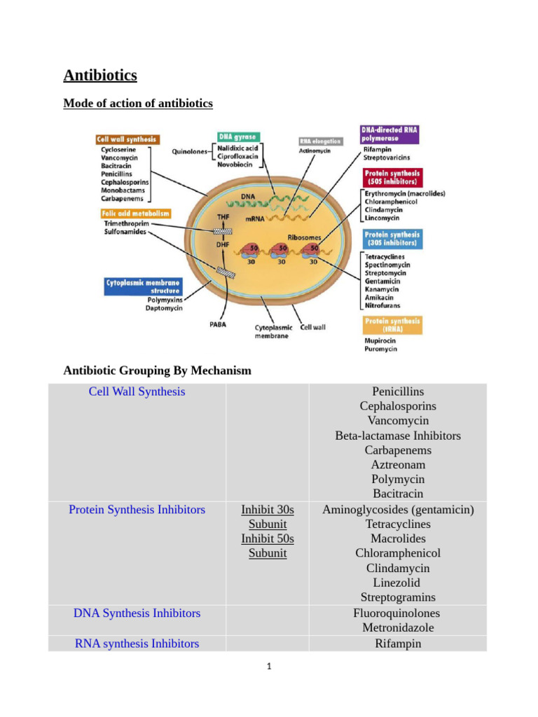Antibiotics and Staph Infections | PDF | Penicillin | Beta Lactamase