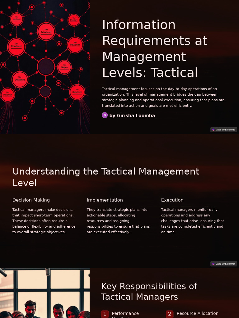 Information Requirements at Management Levels Tactical | PDF ...