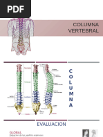 Test de Schober | PDF