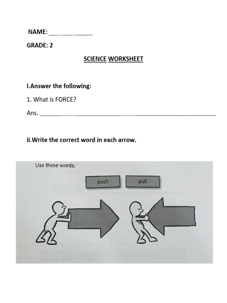 Science Worksheet Unit 2 | PDF | Sports & Recreation