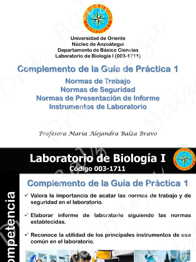 Complemento de La Guía de Práctica 1. 2024 - 092734 | PDF