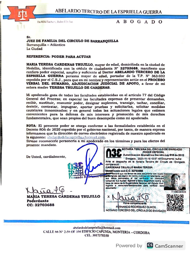 ANEXO 1 PODER PARA ACTUAR | PDF