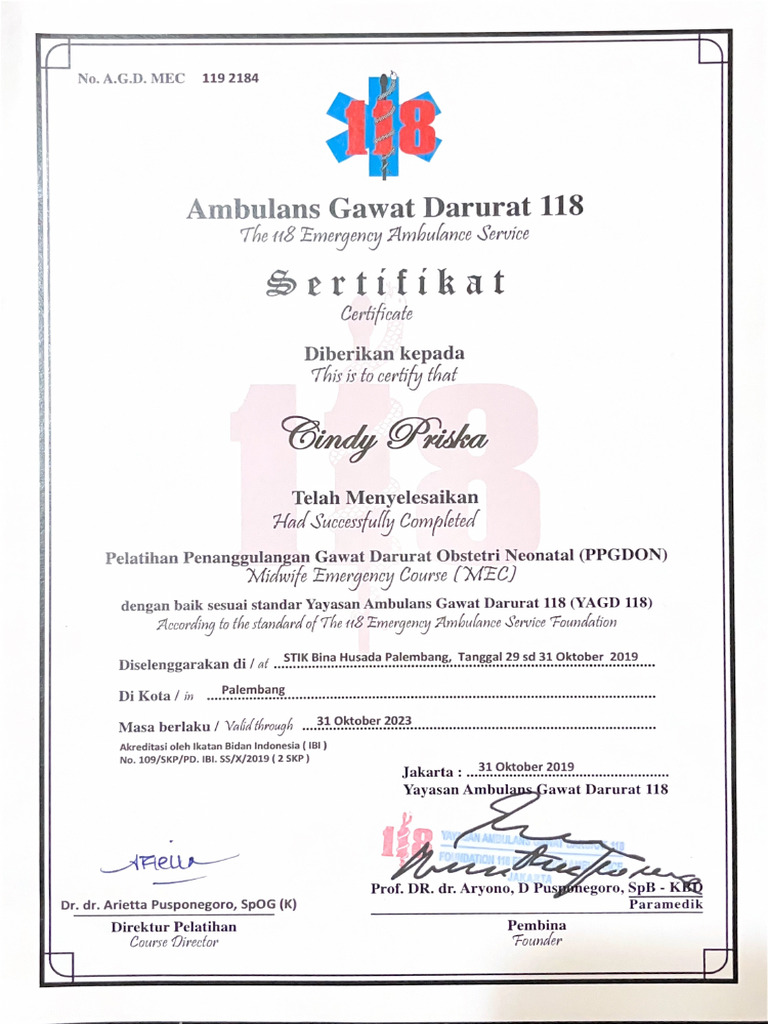 Sertifikat Pelatihan Cindy | PDF