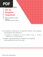 Anatomía de la Región Inguinocrural | PDF | Abdomen | Anatomía