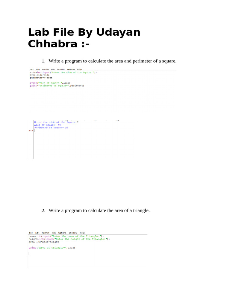 Lab File Ai | PDF