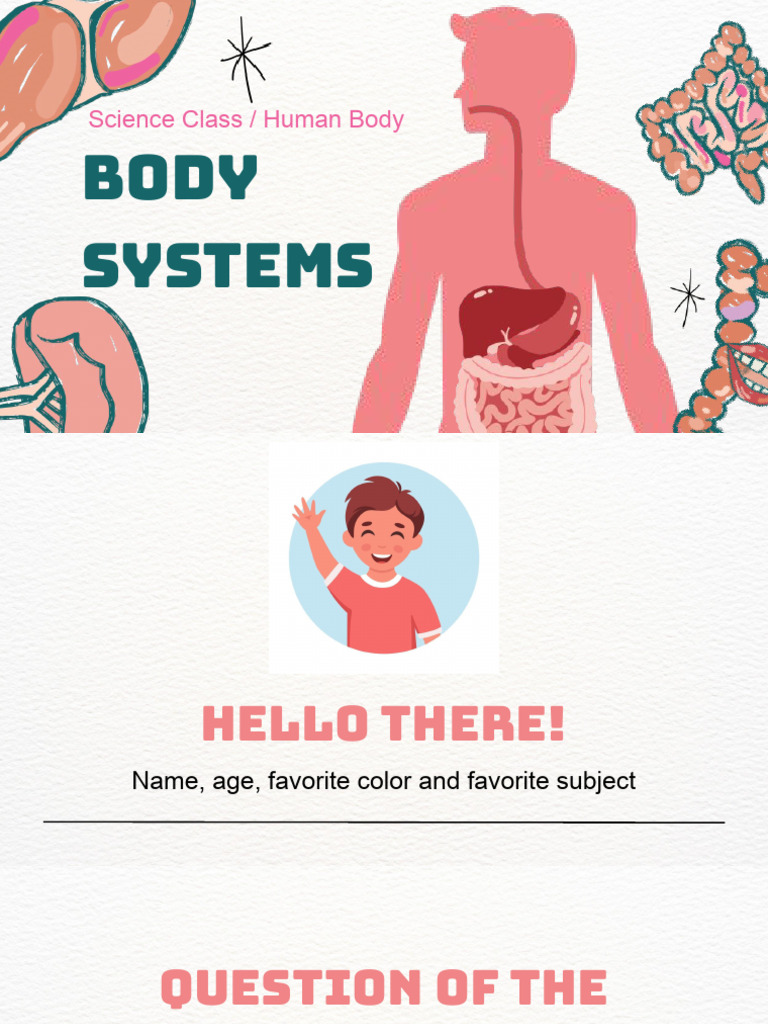 Body Systems | PDF | Wellness
