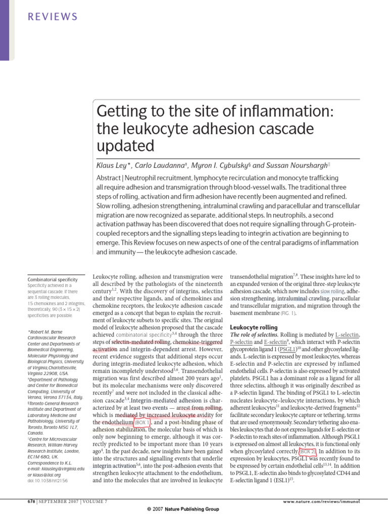 Neutr Migration | PDF | Cell Adhesion | Integrin