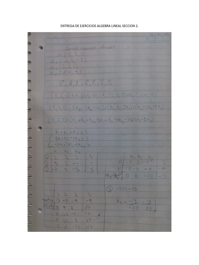 Entrega de Ejercicios Algebra Lineal Seccion 2 | PDF
