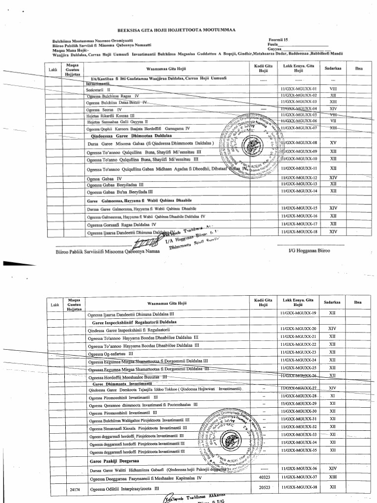 05 Caasaa Waajjjira Waajjira Carraa Hojii Uumuu Fi Invastimantii Magaalaa Guddattuu A | PDF