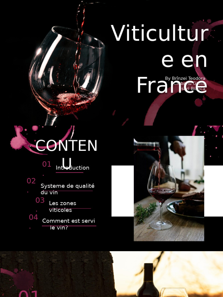 Fiche Dégustation Vin en Excel | PDF | Vins | Champagne