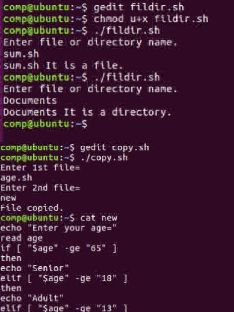 12 Osy | PDF | Computers