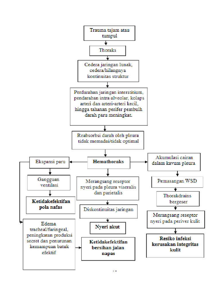 SS Trauma Thorax | PDF