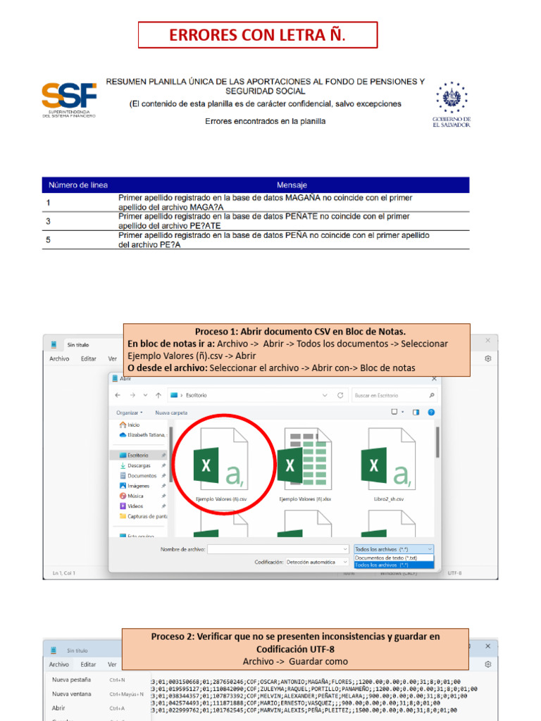 Errores Con Ñ SPU | PDF