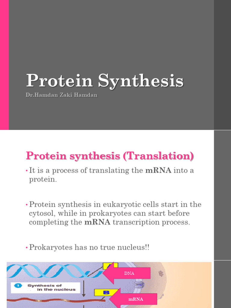 Protein Synthesis | PDF | Translation (Biology) | Ribosome
