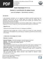 Sporulation et structure des spores bactériennes | PDF | Spore | Biologie