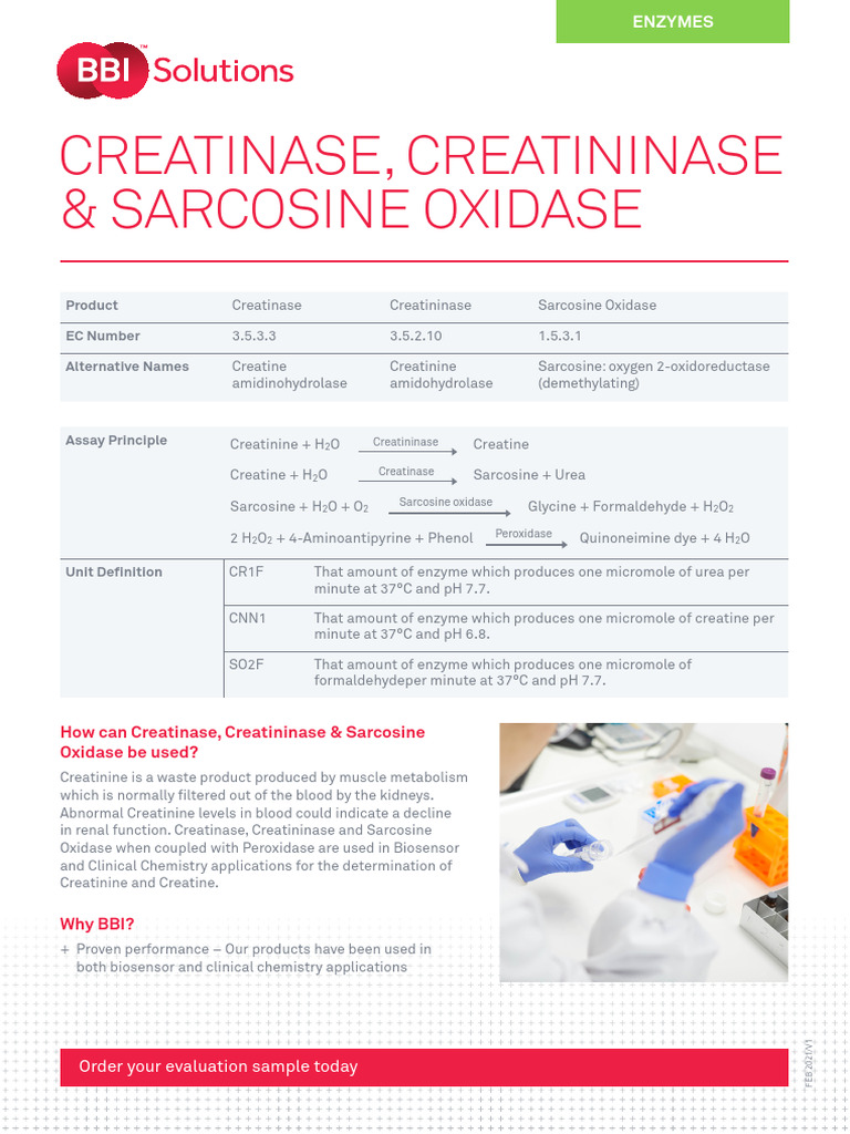 Creatinanase | PDF | Creatinine