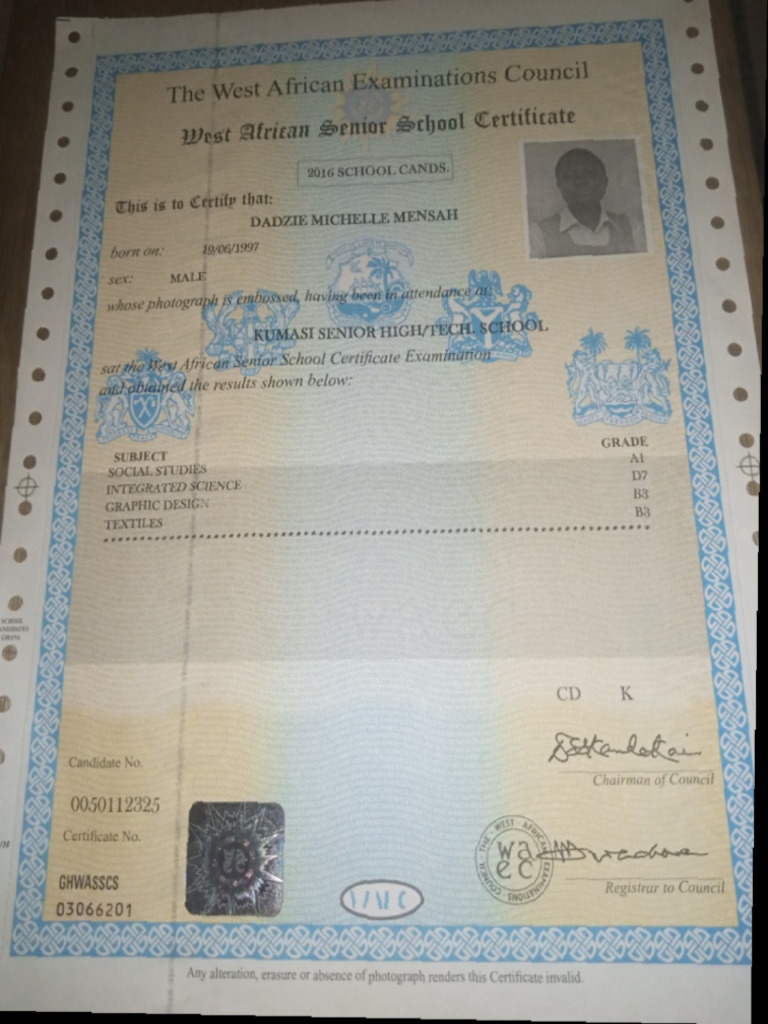 Developmental Progress | PDF