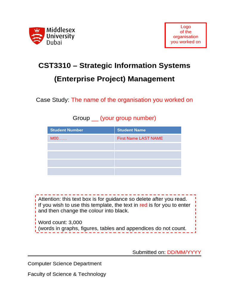 CST3310 - Group Report Template_2024_Upload | PDF | Strategic ...