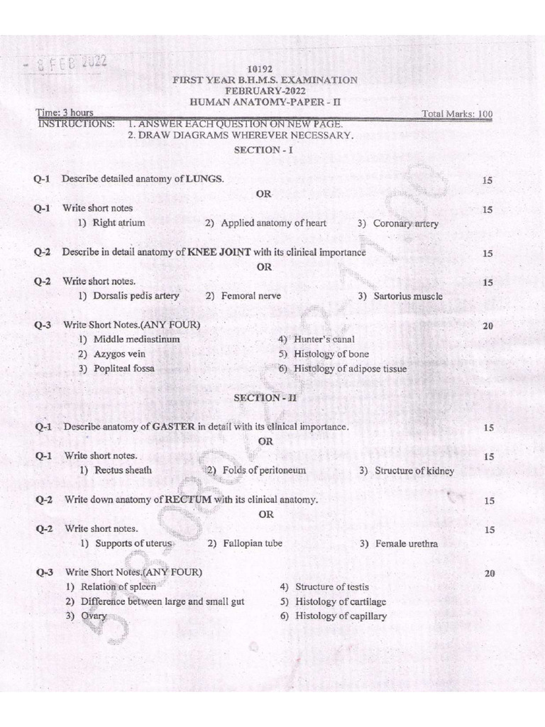 Feb 2022 Anatomy II | PDF