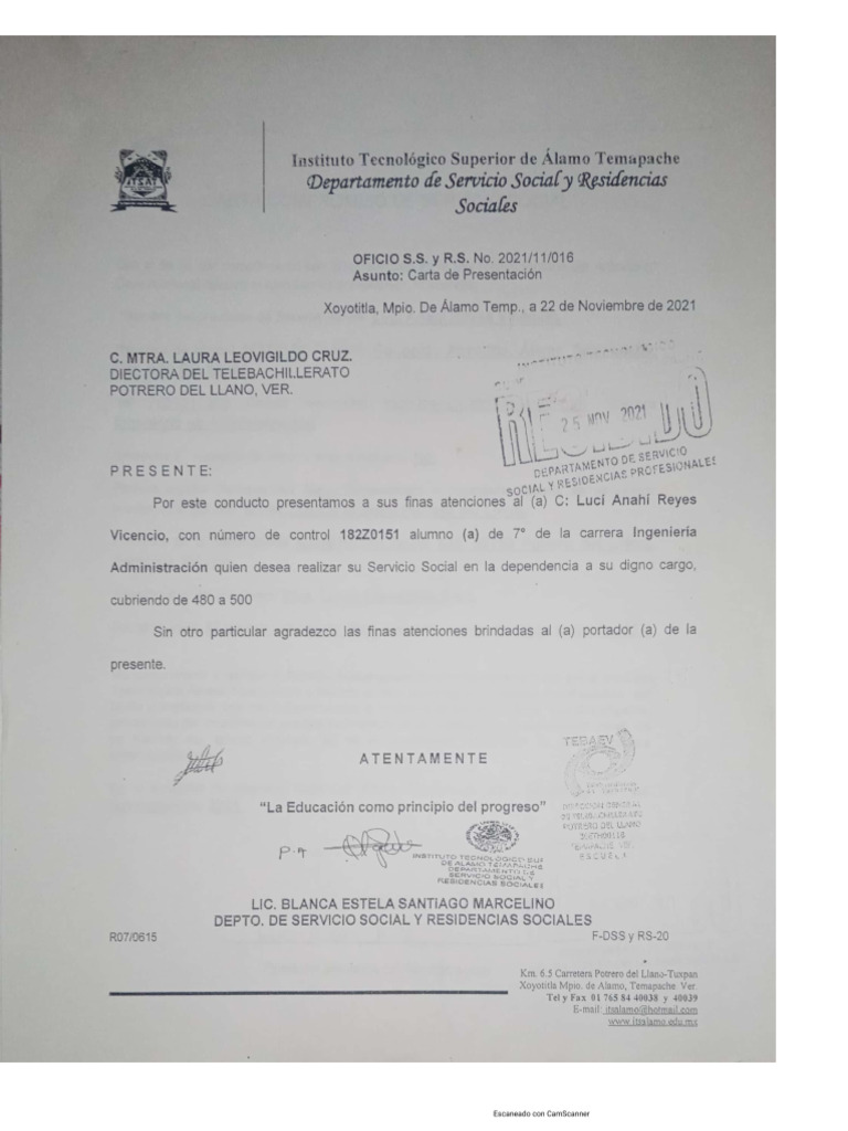 Reporte Final-Servicio Social - Luci Anahi Reyes Vicencio-2 | PDF