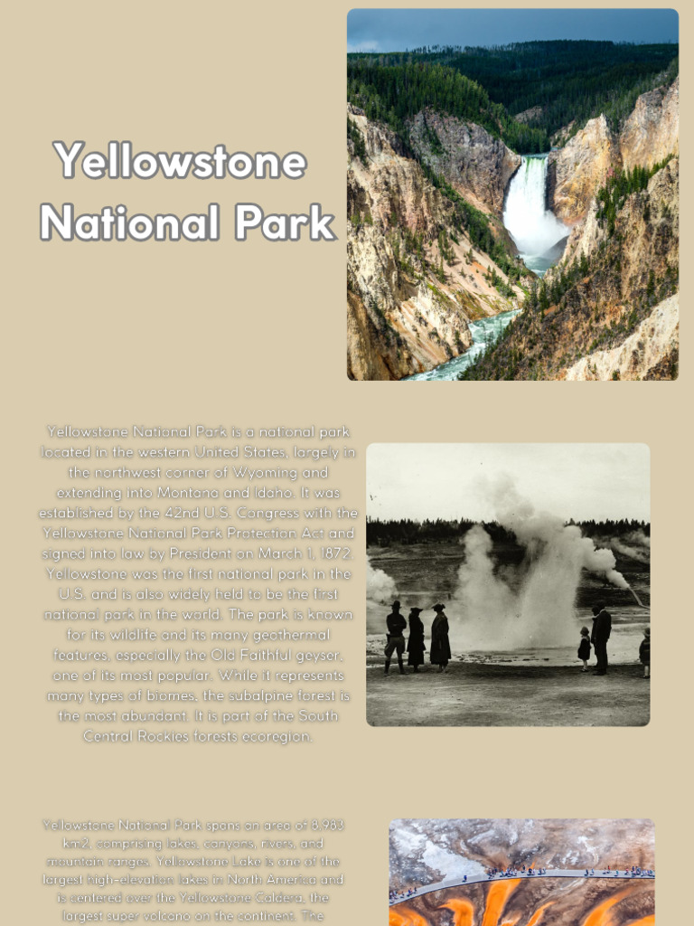 Yellowstone National Park | PDF