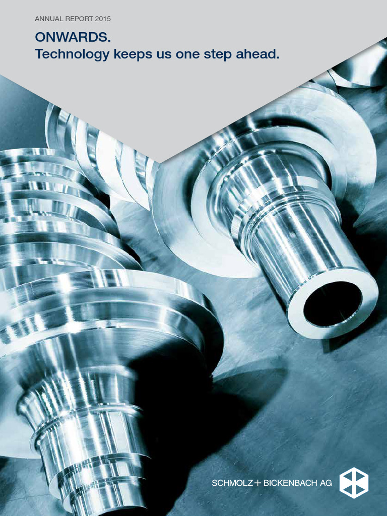 SSG Annual Report 2015 | PDF | Private Sector | Business Economics