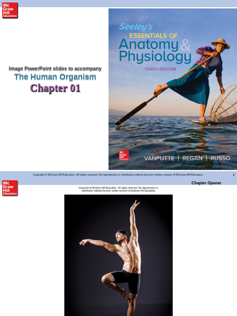 Understanding Anatomic Position | PDF | All Rights Reserved | Natural ...