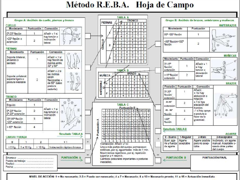 Hoja de Campo REBA | PDF