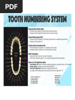 Teeth Numbering System | PDF | Dentistry | Dental Anatomy