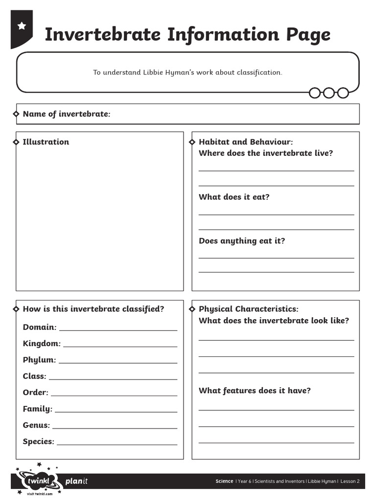 Invertebrate Information Page Activity Sheets | PDF | Taxonomy (Biology ...