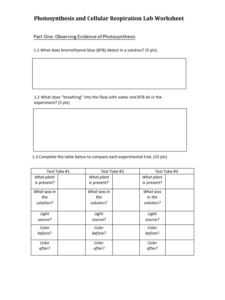 Photosynthesis_Cell+Respiration+Lab_rev | PDF | Chloroplast | Chemistry