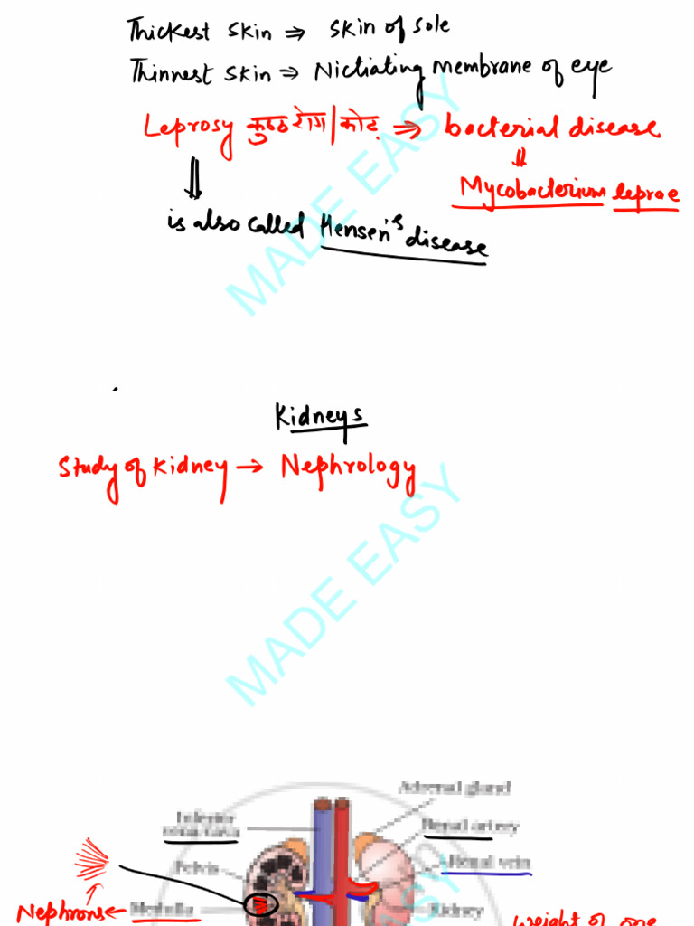 3505038made Easy Class-3 Watermark | PDF