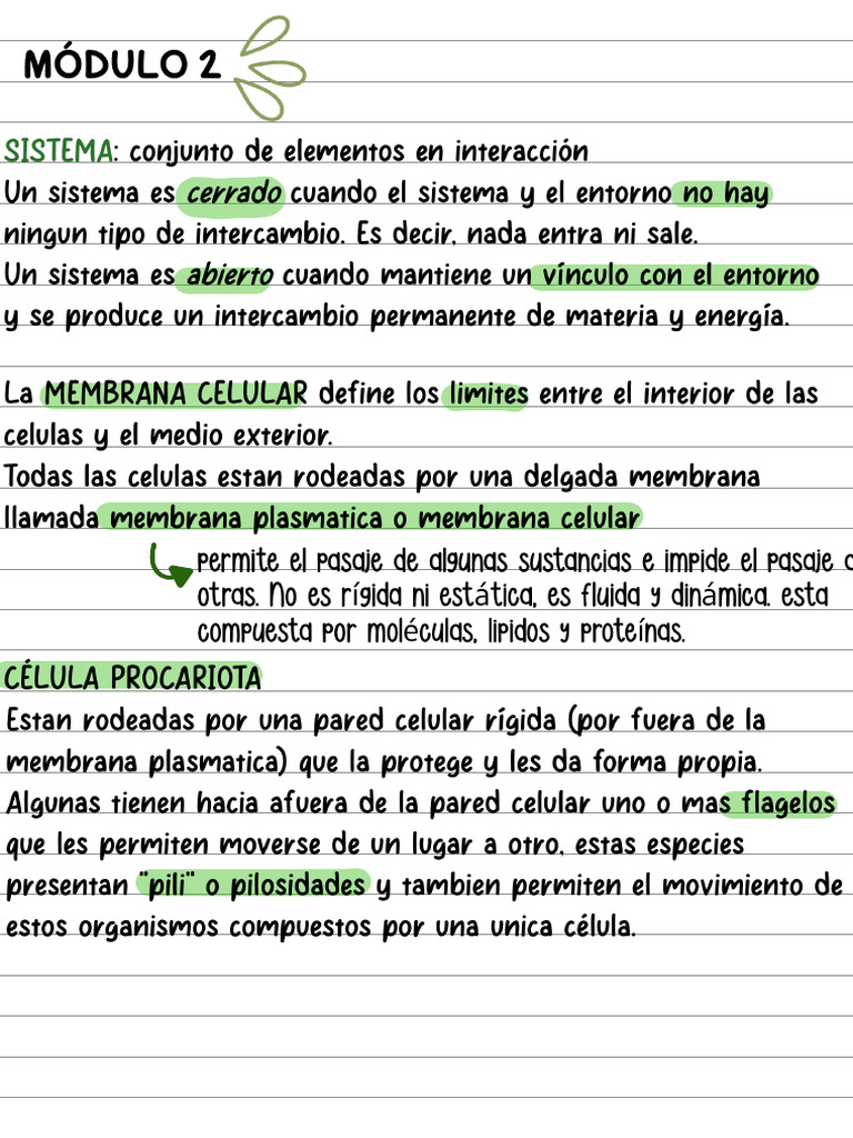MÓDULO 2 BIO | PDF